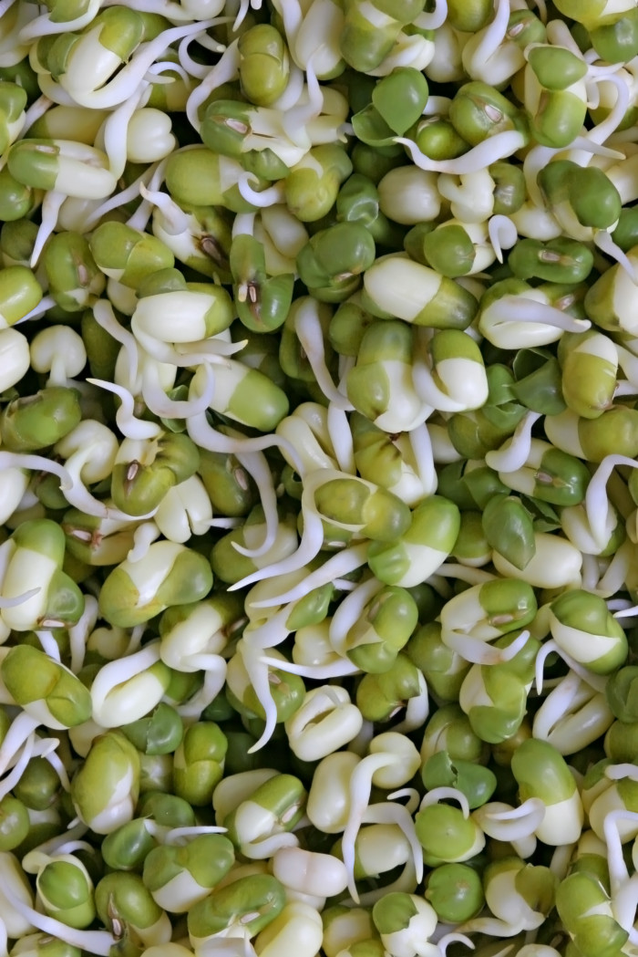 Kicharee - jídlo pro každou příležitost